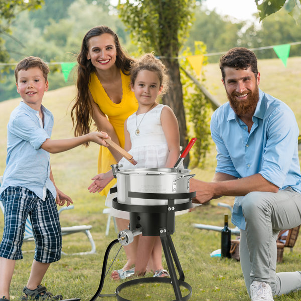 AiYchen Propane Outdoor Fish Fryer Set, 10 Quart Aluminum Seafood ...