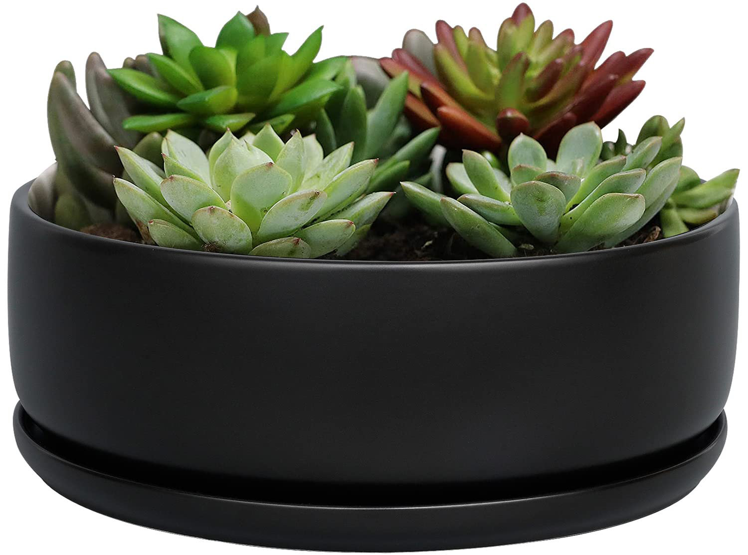 Ebern Designs Ruthvik Planter | Wayfair