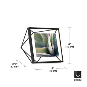 Umbra Prisma Picture Frame & Reviews | Wayfair