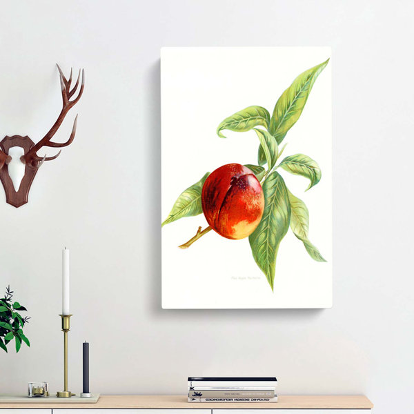 East Urban Home Vintage Peach Illustration Of A Nectarine - Wrapped ...