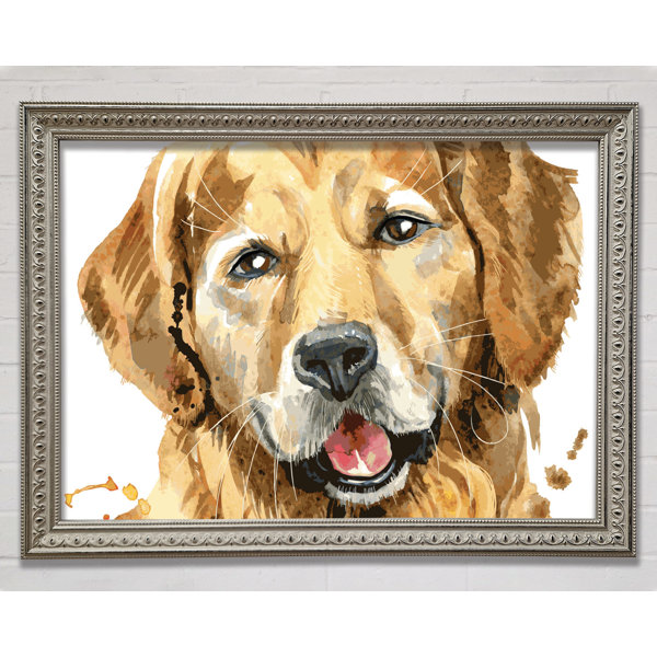 Bright Star Labrador Happiness - Single Picture Frame Art Prints ...