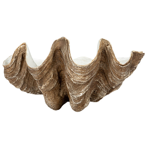 Millwood Pines Resin Clam Bowl Wall Décor | Wayfair