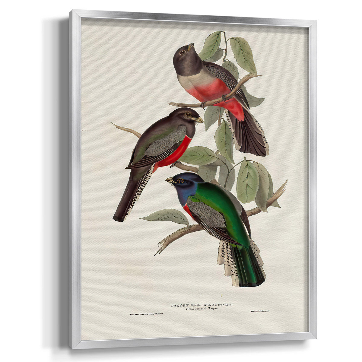 Winston Porter Spinning Wheels I Framed Print | Wayfair