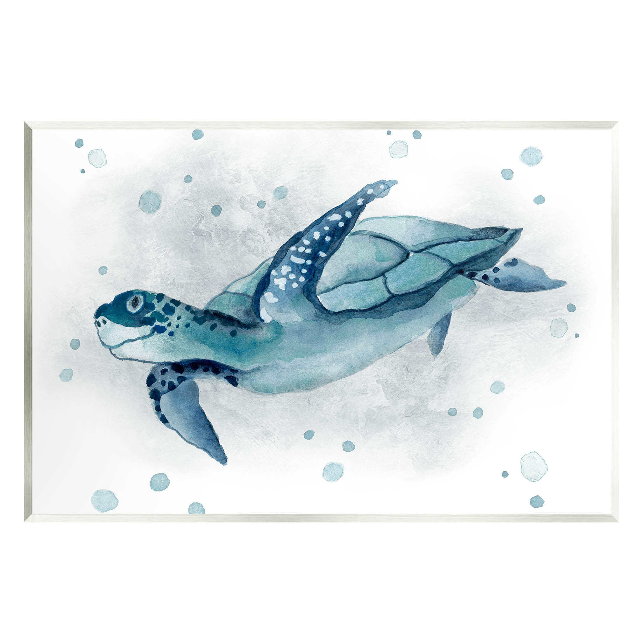 Stupell Industries Sea Life Tortoise Splash Wall Plaque Art By Janet ...
