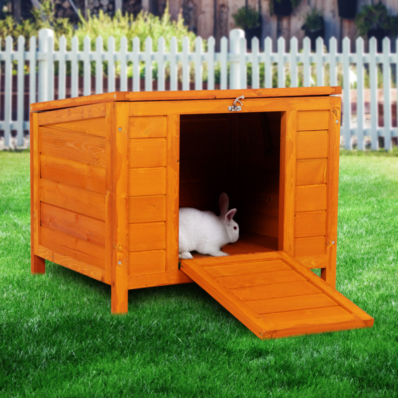 Archie & Oscar™ Small Wood Rabbit Hutch Bunny Cage | Wayfair