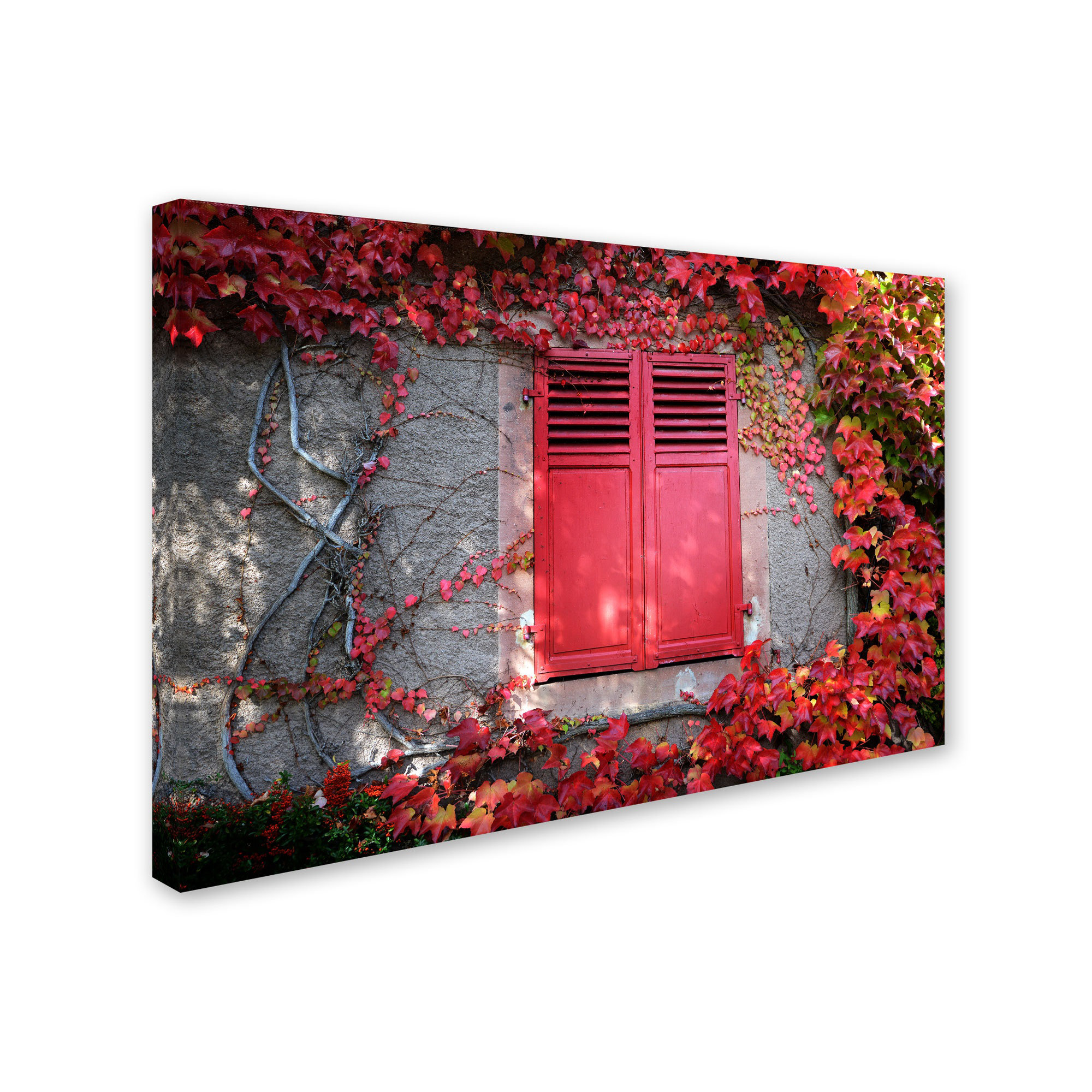 Gracie Oaks Red Windowpane by Philippe Sainte-Laudy - Photograph Print ...