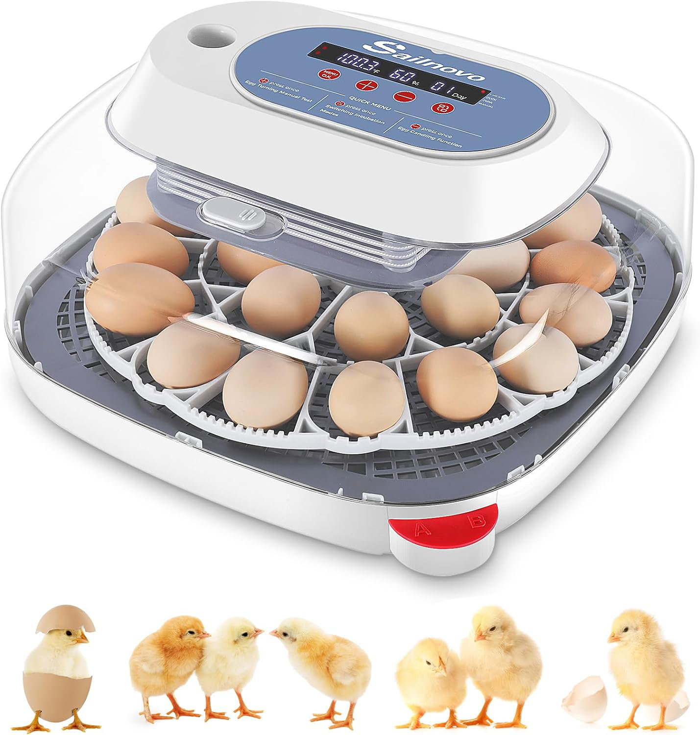 Ancheer 24 Chicken Egg Incubators with 4 Modes, 360° View Incubator ...