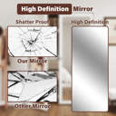 ARK DESIGN 1-Lite Mirrored Pivot-French Solid Core Doors With ...