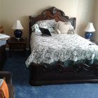 Astoria Grand Fletcher Solid Wood Bed & Reviews | Wayfair