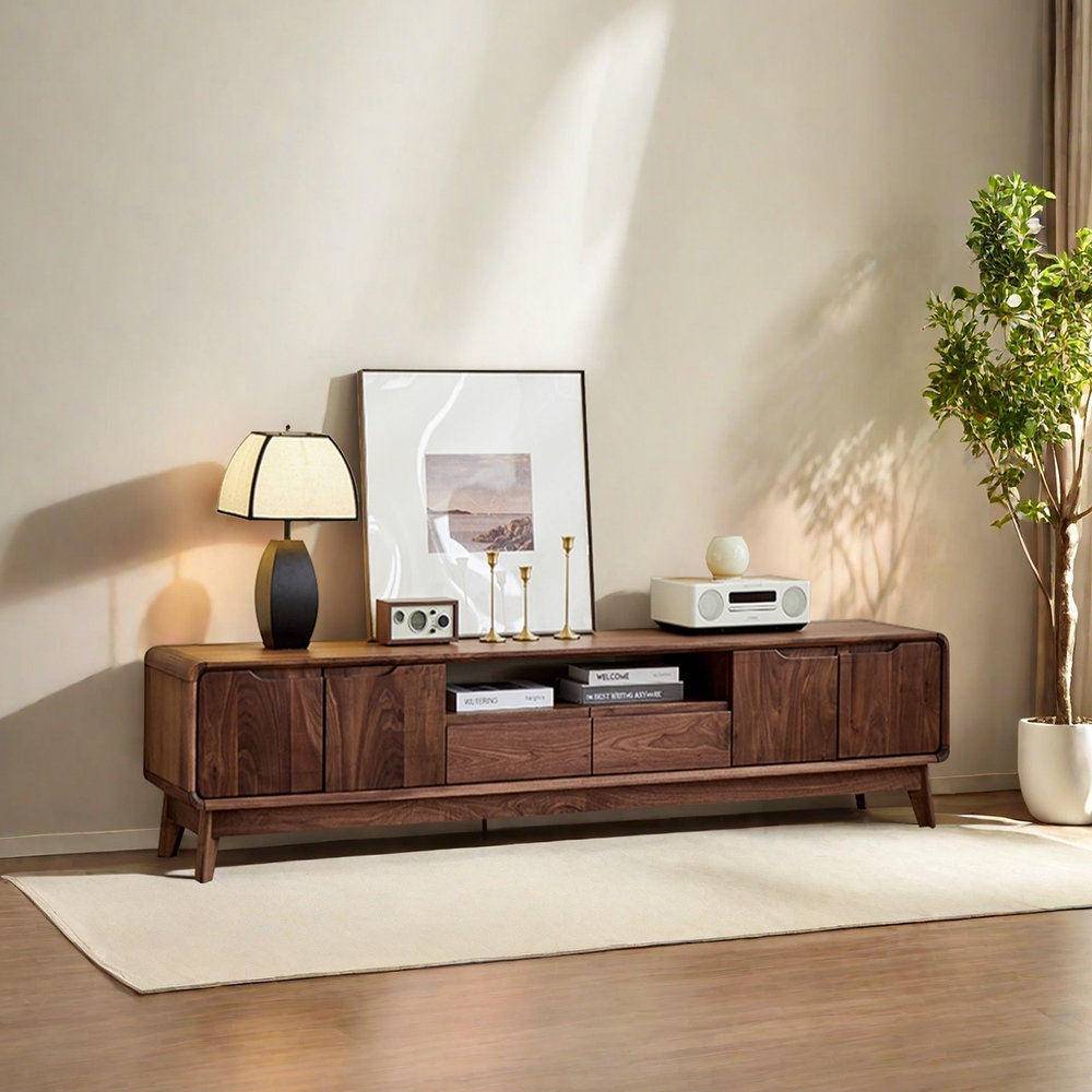 Corrigan Studio® Retro high-end minimalist design TV cabinet | Wayfair