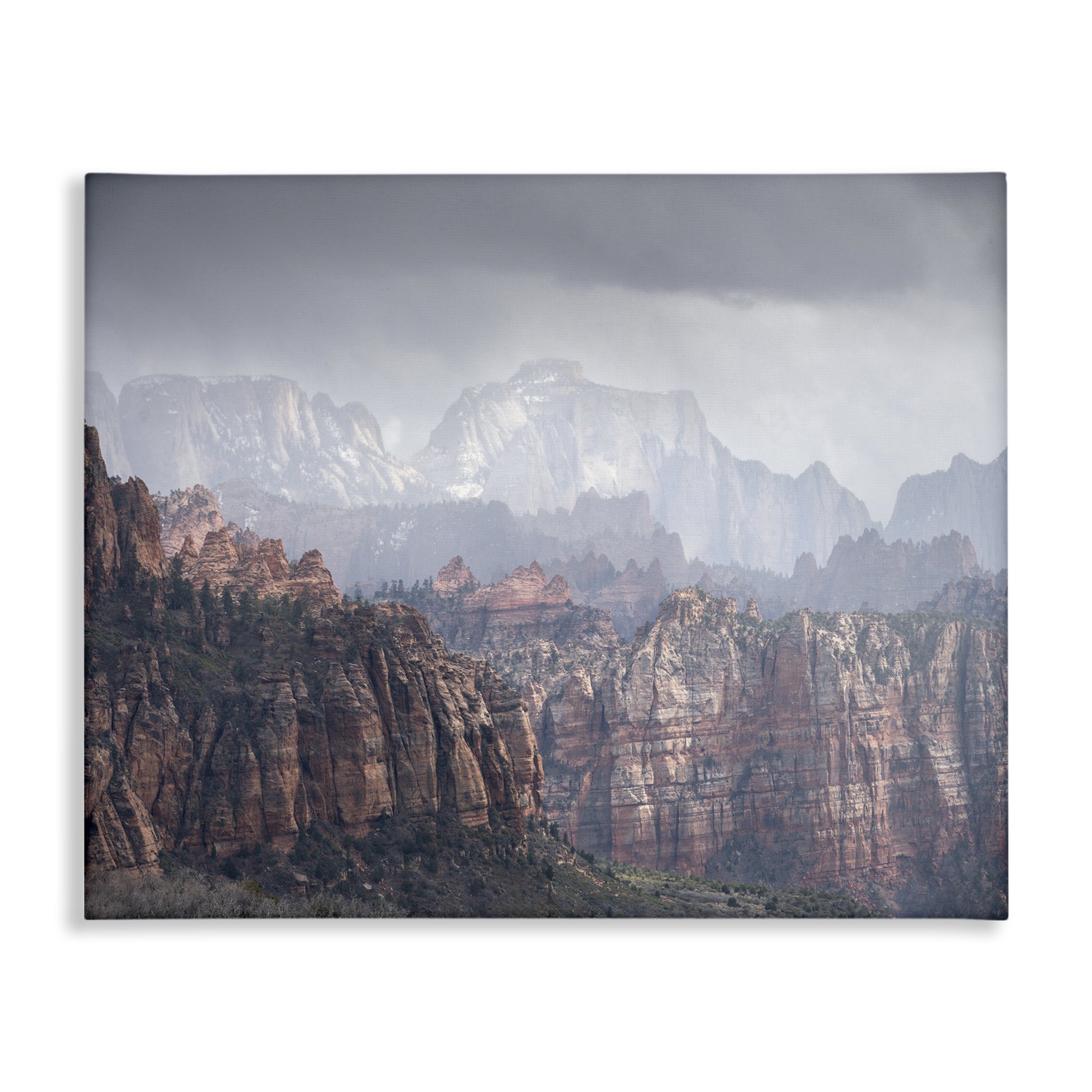 Millwood Pines Zion National Park Canvas Wall Art by Hunter Page ...