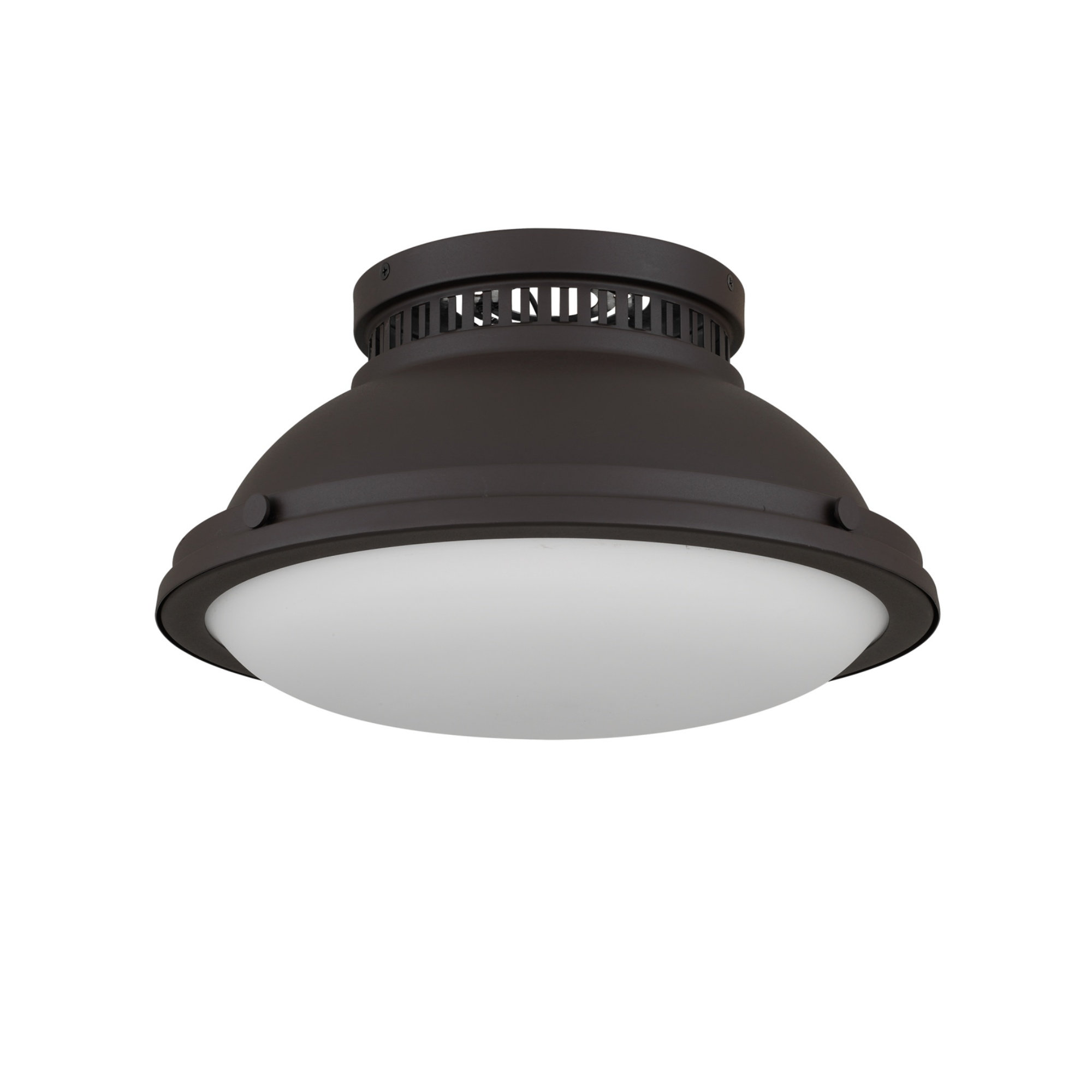 17 Stories Double-Light 14-Inch Deep Ceiling Light, Suitable For ...
