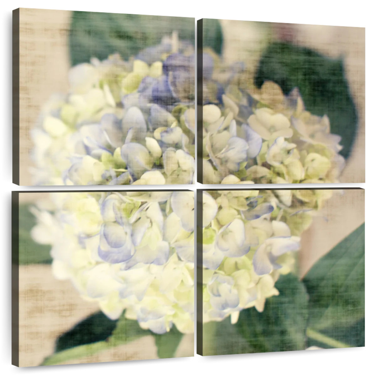Lark Manor™ Harnek Hydrangeas II | Wayfair