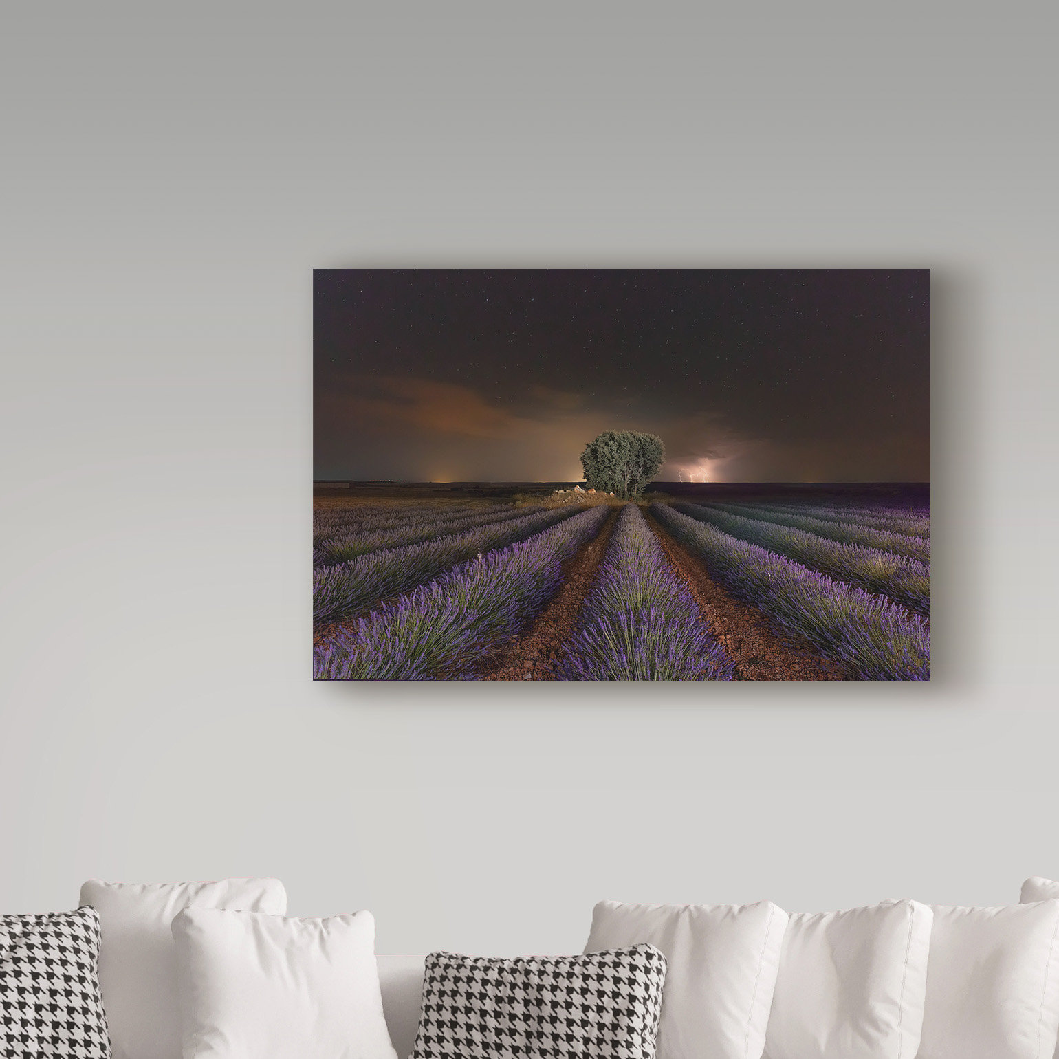Trademark Fine Art 'Lavanda and Rayos' Photographic Print on Wrapped ...