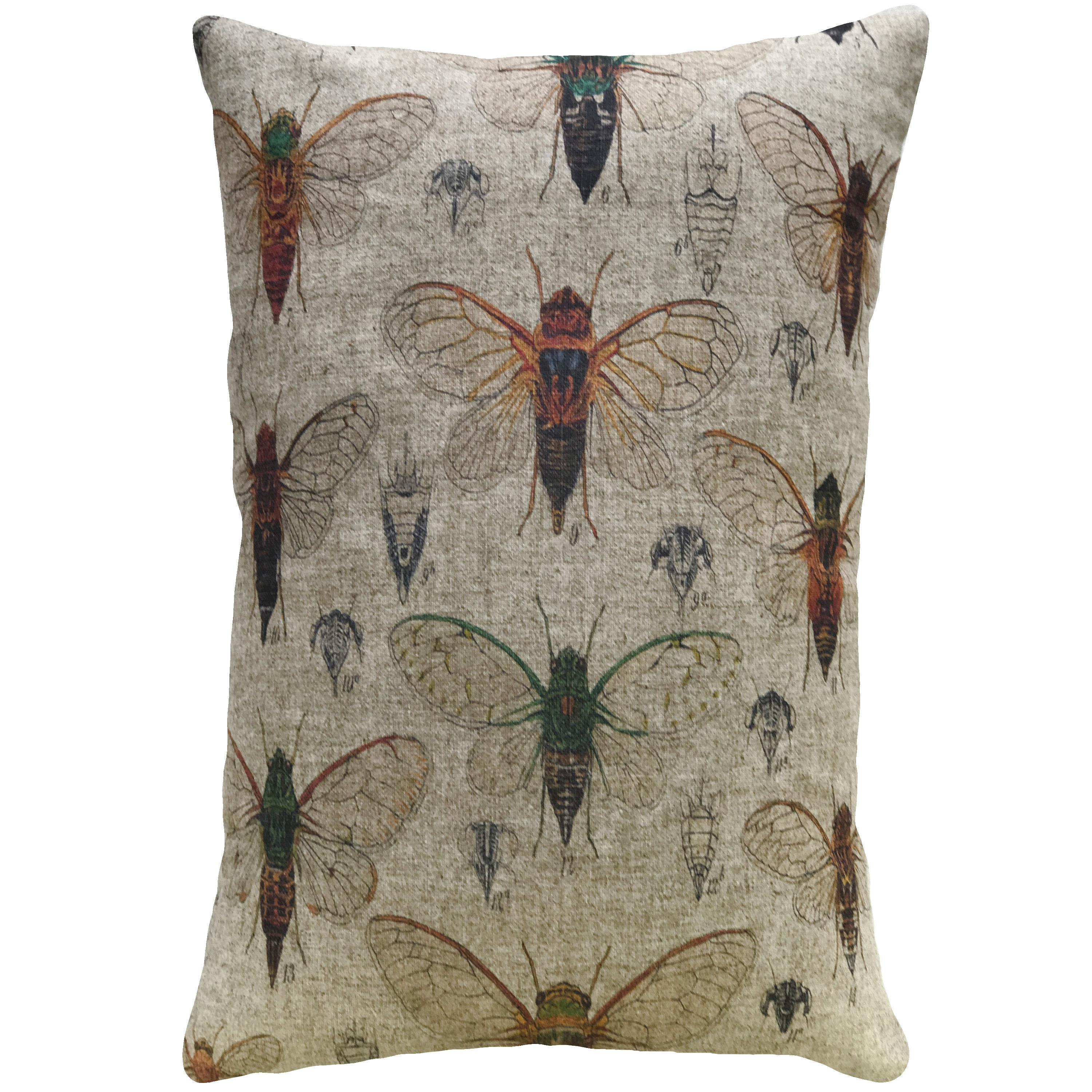 TheWatsonShop Bugs Throw Pillow | Wayfair