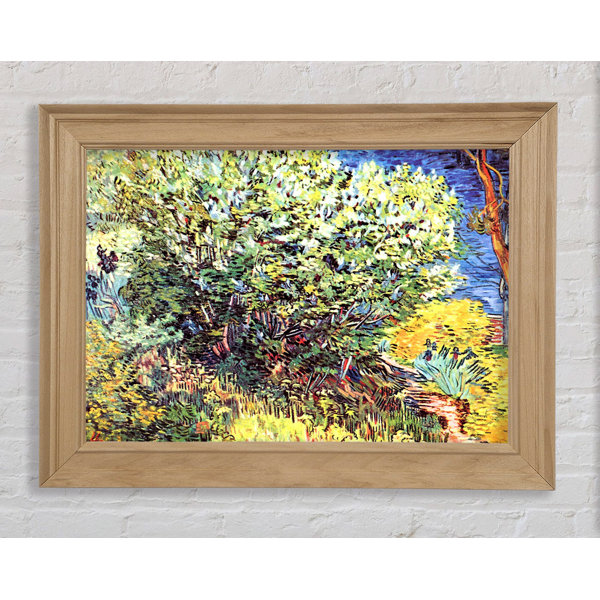 Bright Star Van Gogh The Bush - Single Picture Frame Print | Wayfair.co.uk