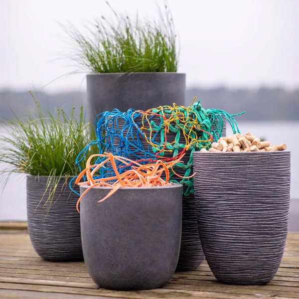 vidaXL Capi Pot Planter | Wayfair.co.uk