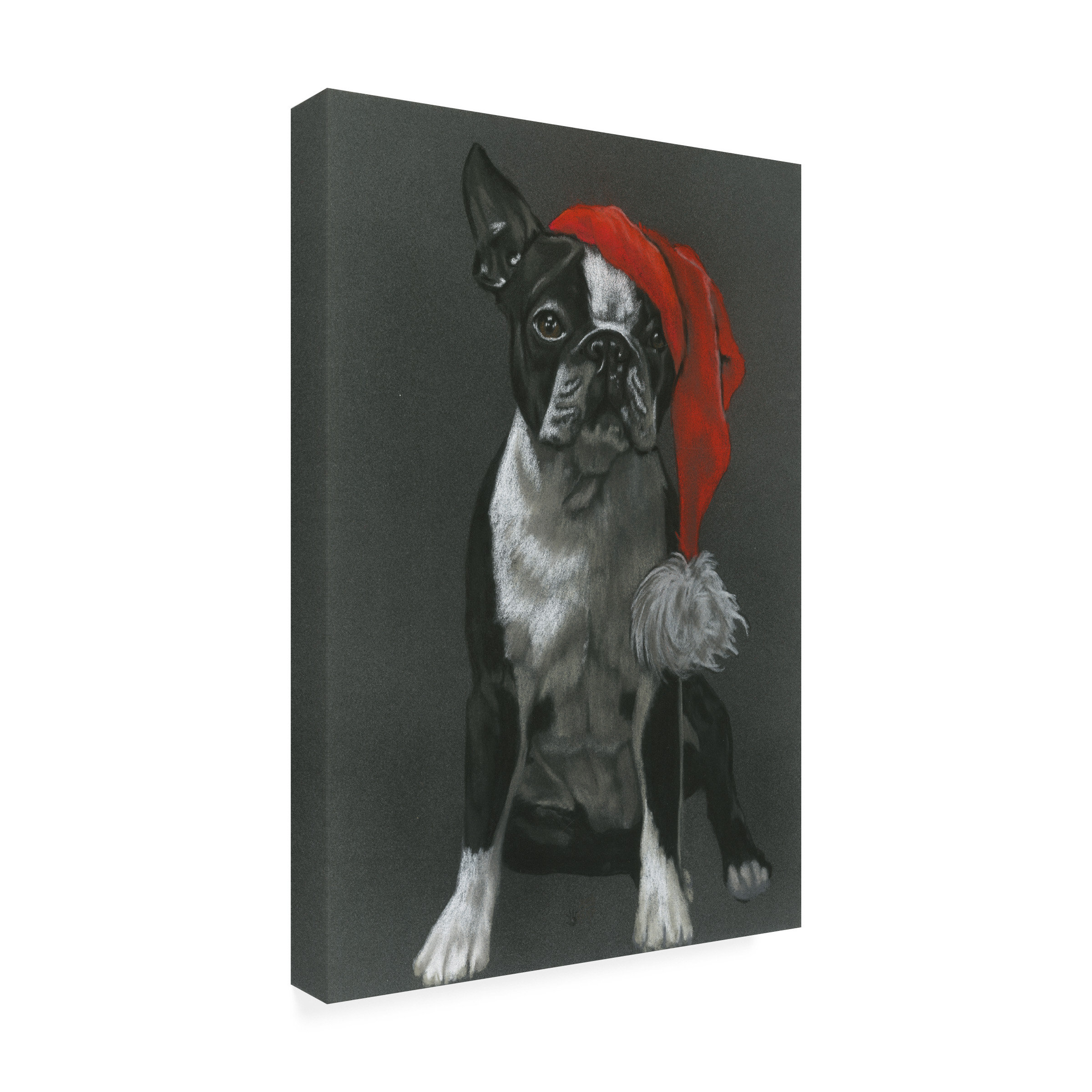 The Holiday Aisle® Barbara Keith 'Boston Pixie' Canvas Art - Wayfair Canada