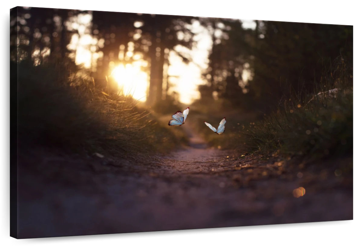 Ebern Designs Brampt Butterfly Trail | Wayfair