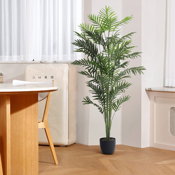 Ebern Designs Ronessa 160cm Plant | Wayfair.co.uk