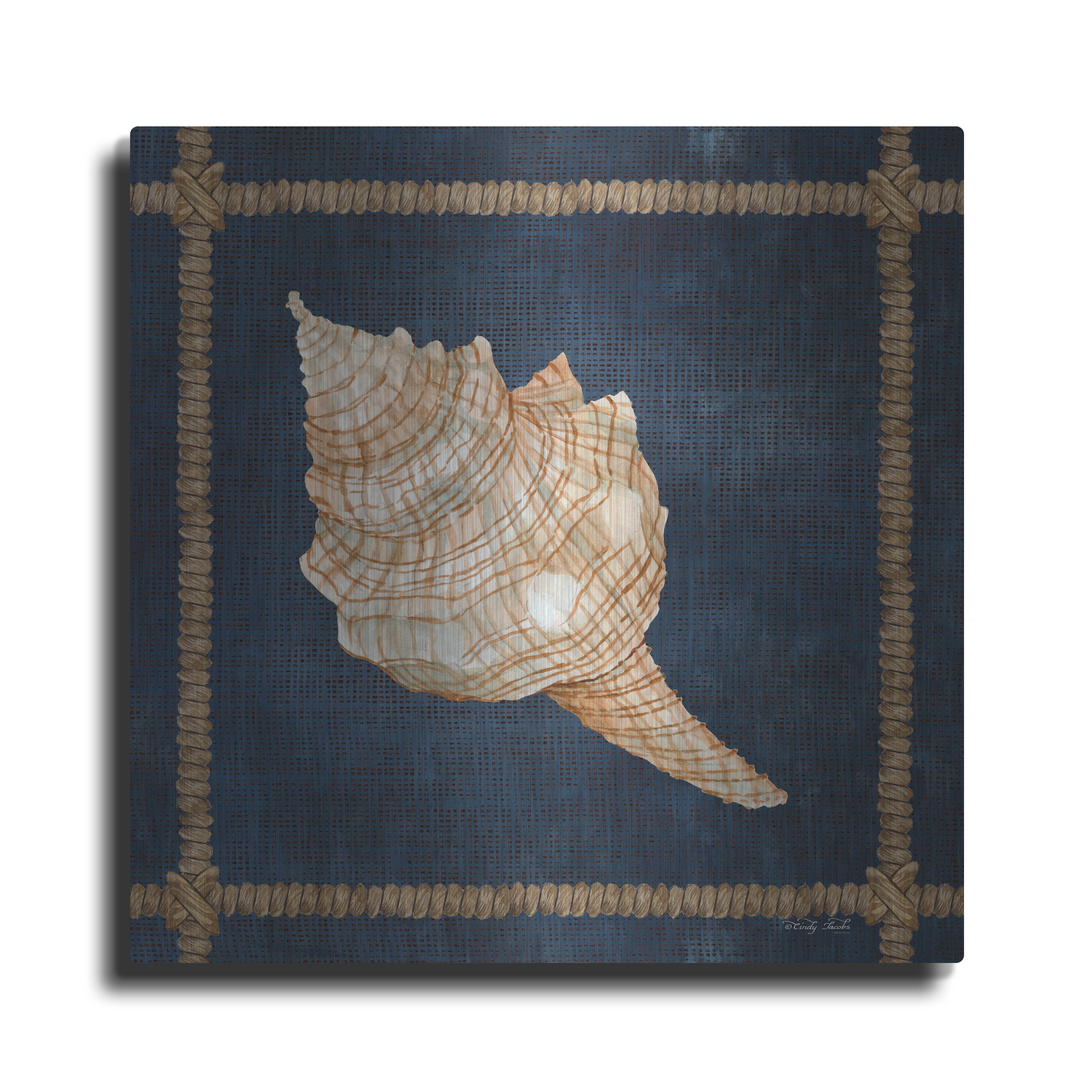 Luxe Metal Art 'Seashell On Navy IV' By Cindy Jaco " Seashell On Navy ...