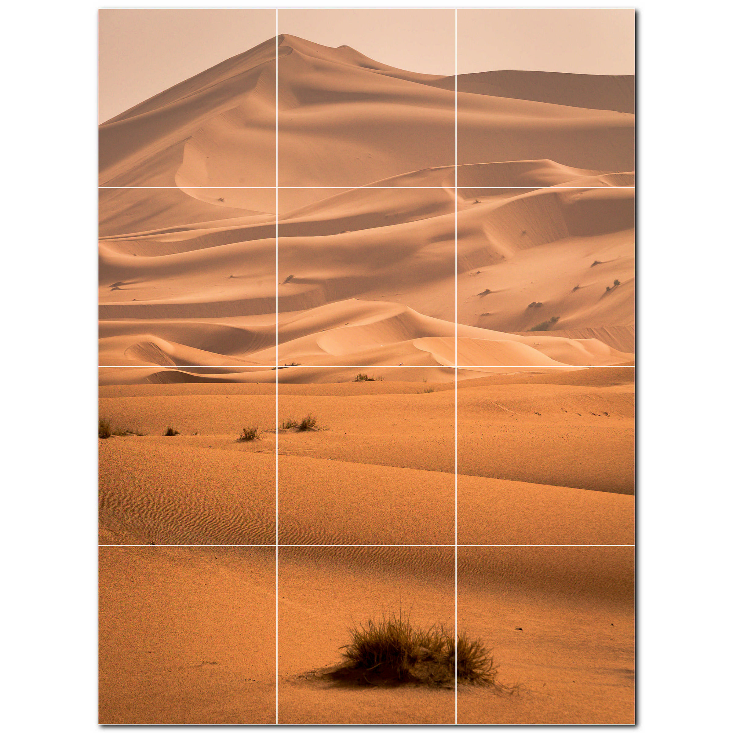 Picture-Tiles.com Desert Photo 8'' x 8'' Satin Ceramic Decorative Mural ...