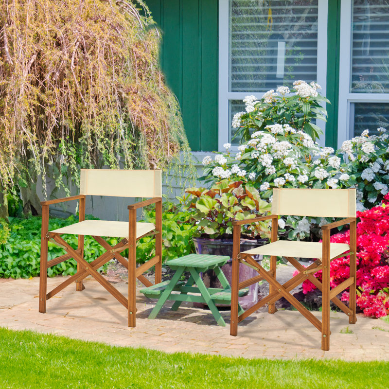 Arlmont & Co. 2-Piece Wooden Folding Director Chair | Wayfair