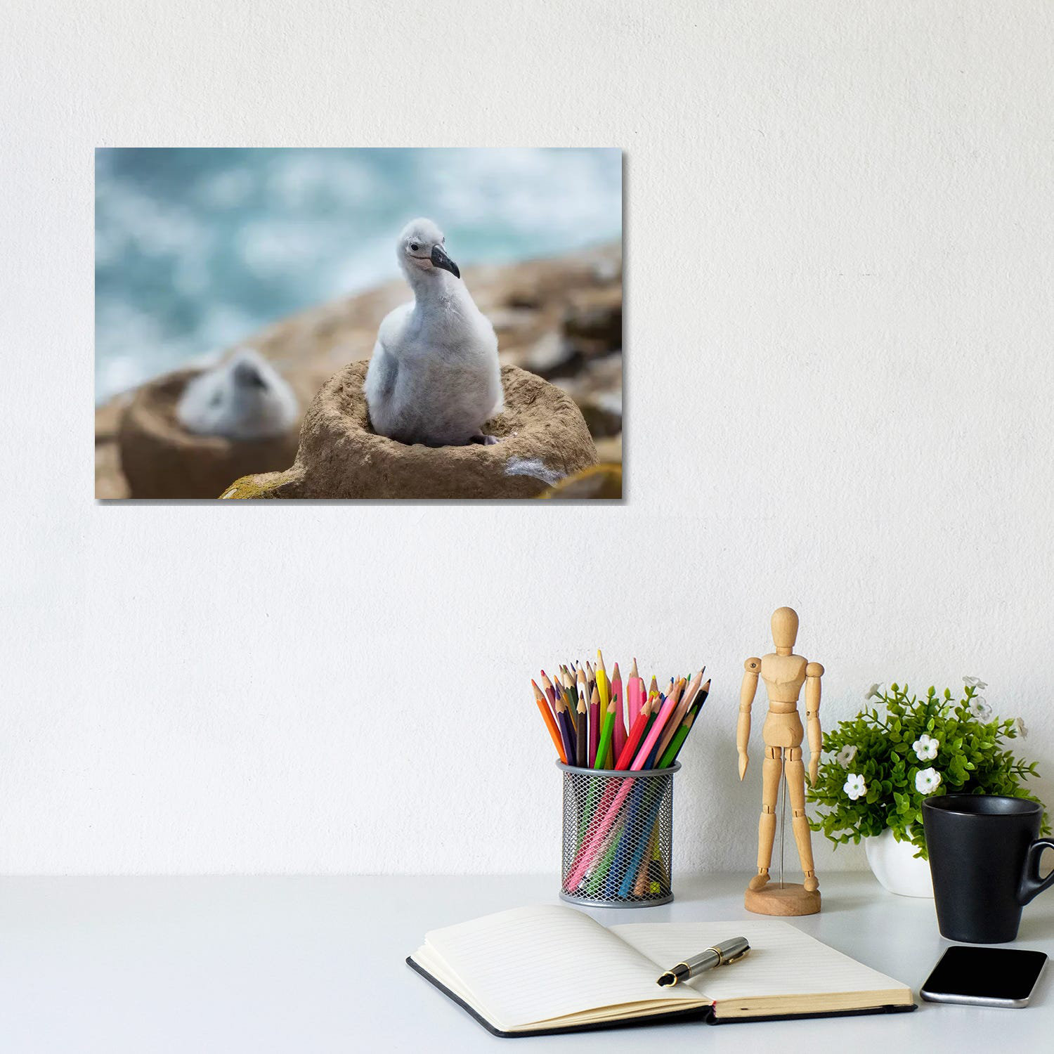 Latitude Run Chick on Tower-Shaped Nest. Black-Browed Albatrossor Black ...