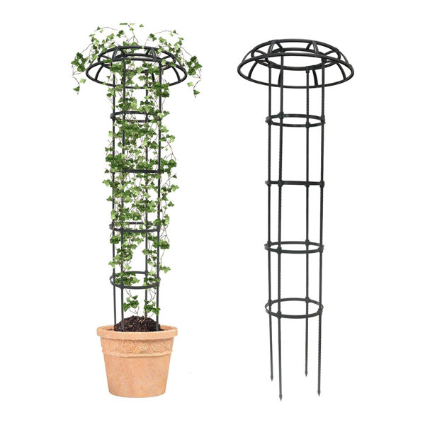 Lark Manor Garden Trellis for Climbing Plants Outdoor, 65 Inch Mushroom ...