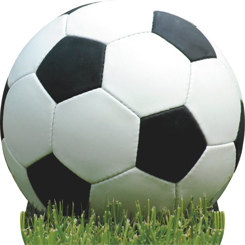 Wet Paint Printing SP13439 Soccer Ball On Grass Cardboard Cutout ...