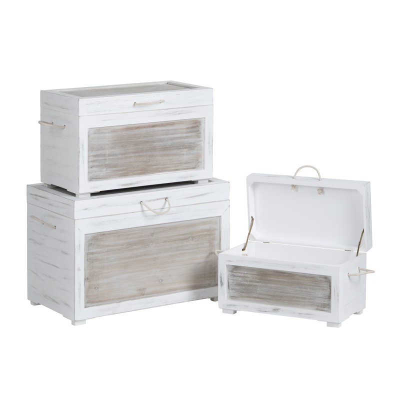 Ophelia & Co. 3 Piece Storage Trunks | Wayfair