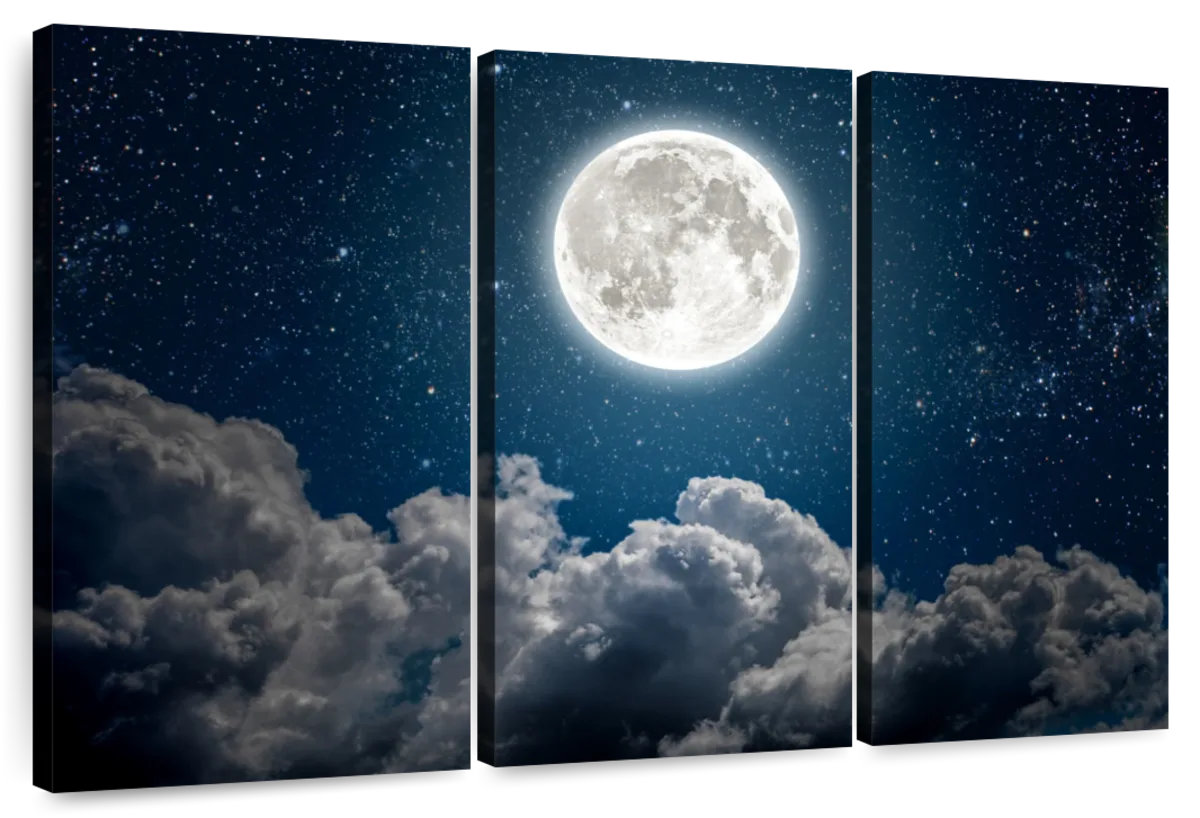 Ebern Designs Oberle Beautiful Moon - Wayfair Canada
