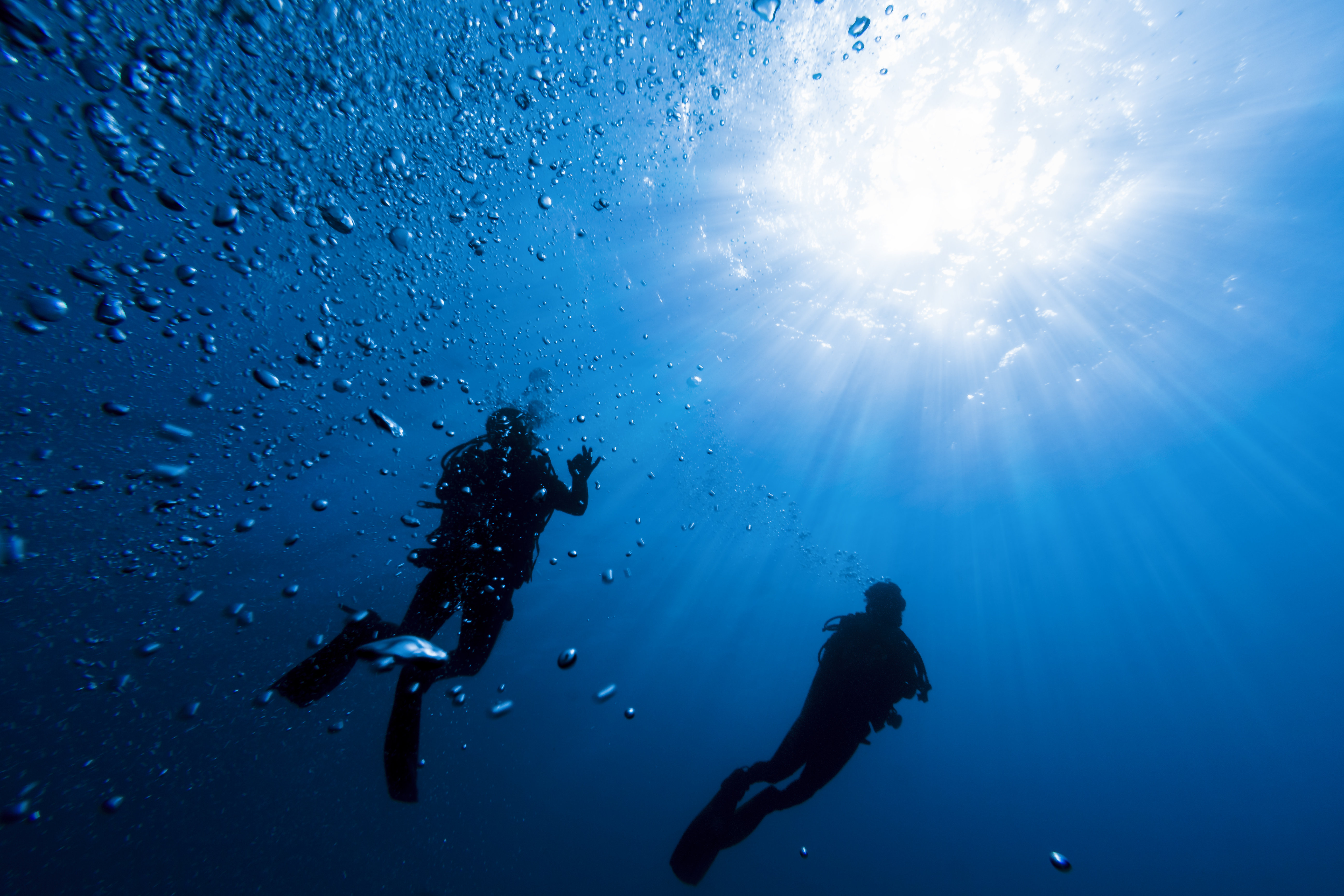 Highland Dunes Two Scuba Divers by Mafelipe | Wayfair