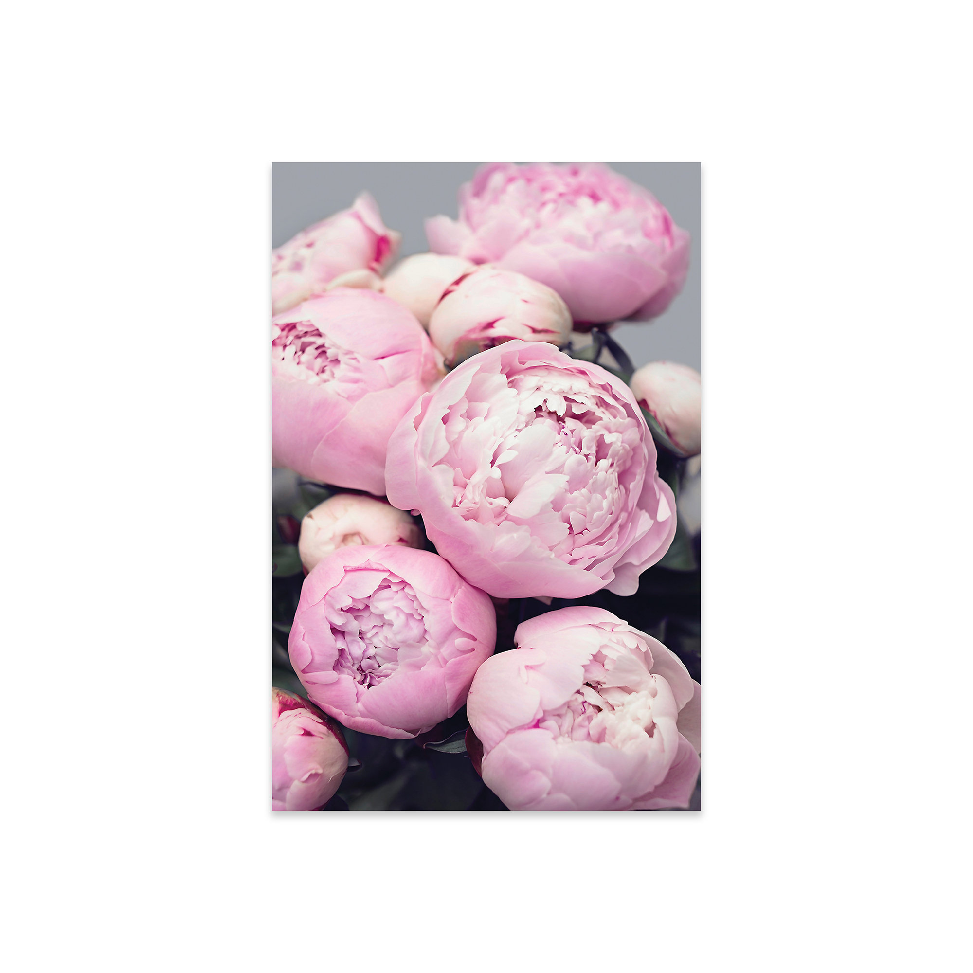 Ebern Designs Pink Peonies by Sisi & Seb | Wayfair