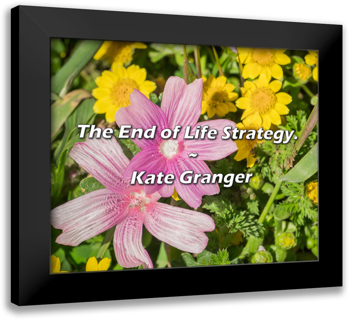 Trinx Kate Granger Quote: The End of Life Strategy. | Wayfair