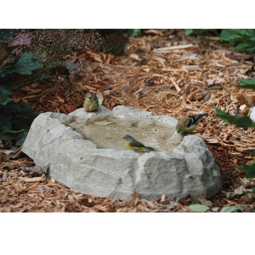 Small Bird Baths You'll Love | Wayfair