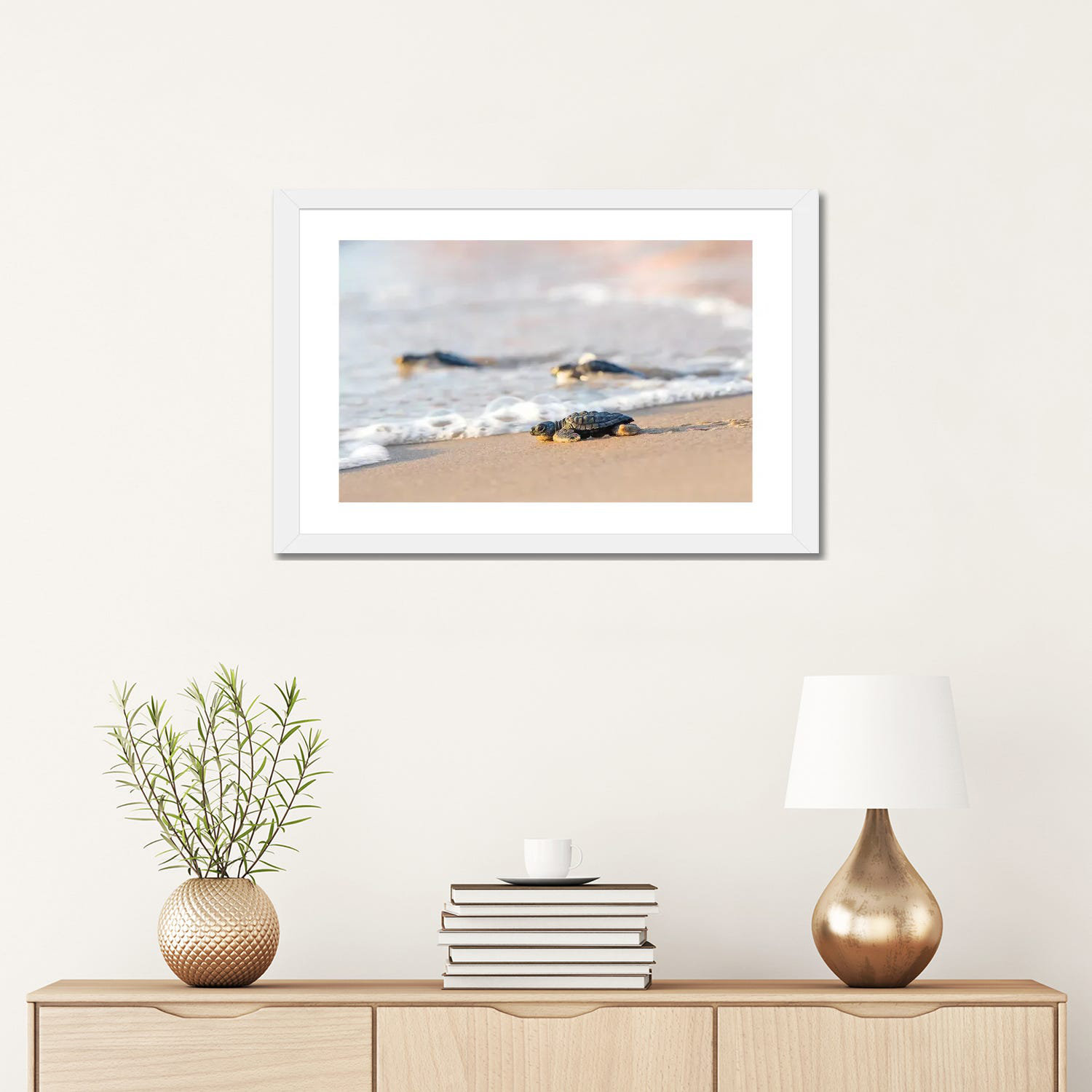 Bless international Kemp's Ridley Sea Turtle Hatchling I Framed by ...