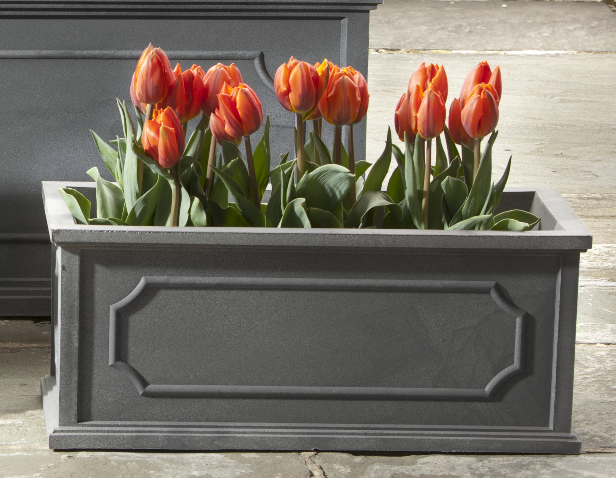 Birch Lane™ Ericson Fibreglass Planter Box & Reviews - Wayfair Canada