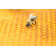 Latitude Run Imogen Bee by Balwan - Wrapped Canvas Print | Wayfair.co.uk