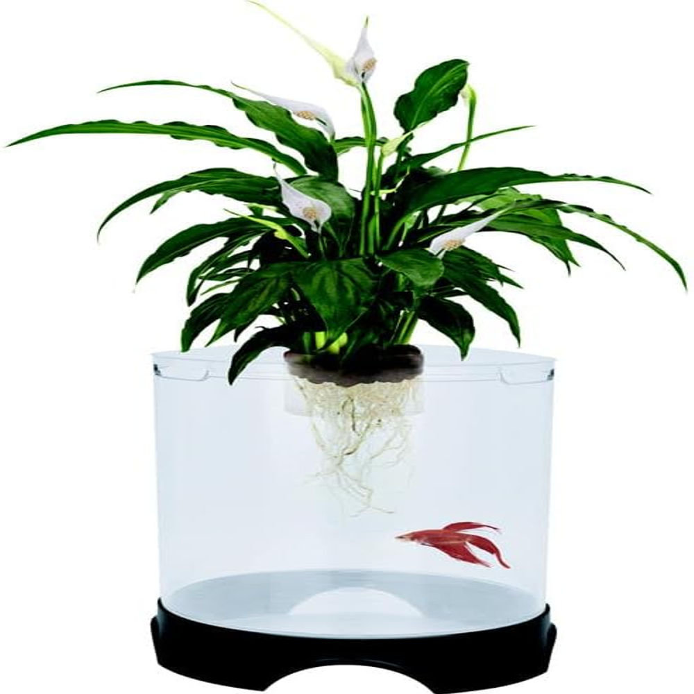 Tucker Murphy Pet™ PENN-PLAX Aqua-Ponic Betta Tank & Hydroponic Planter ...