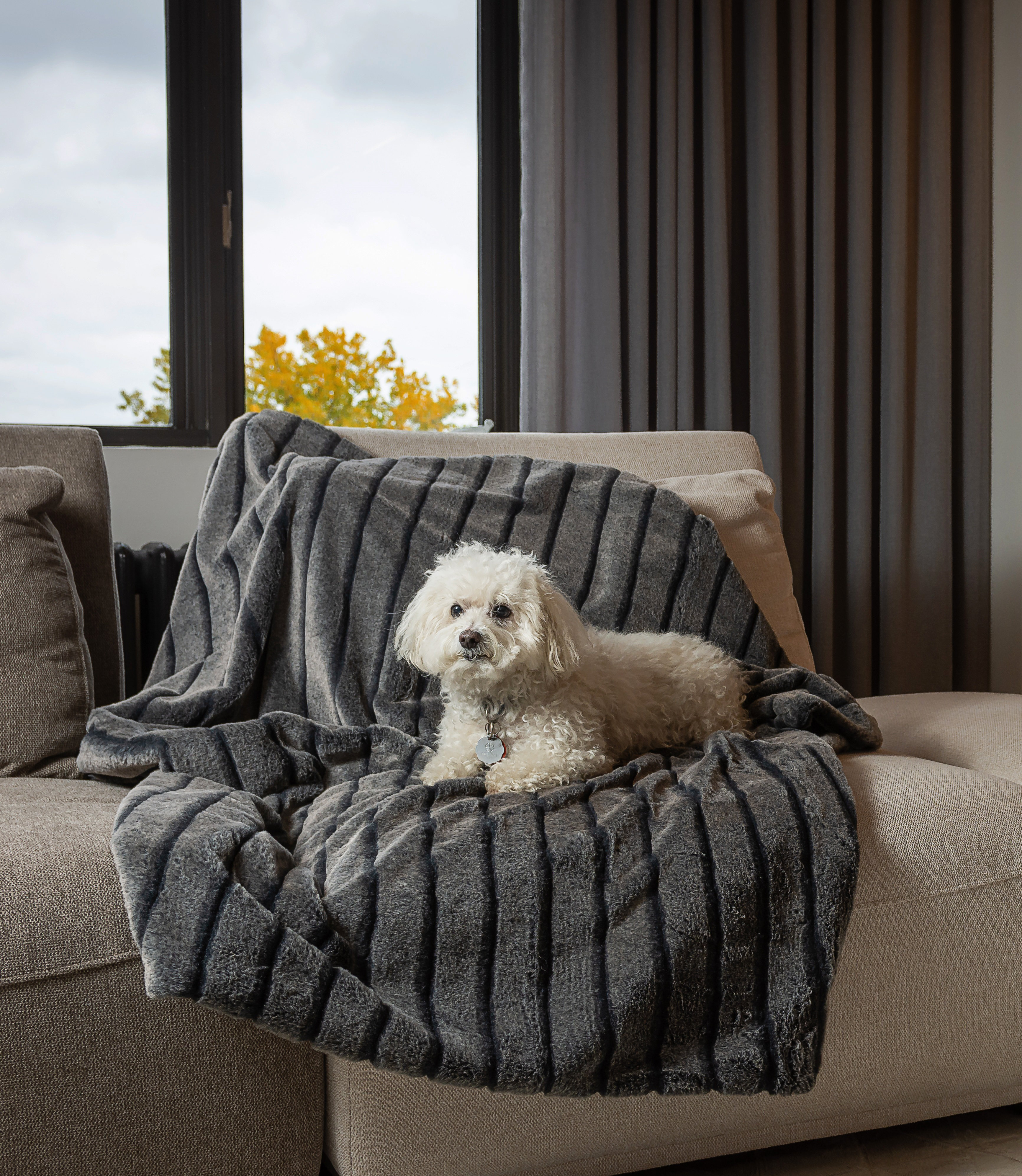 Luxe Soft Heart Faux Fur Throw - Wayfair Canada