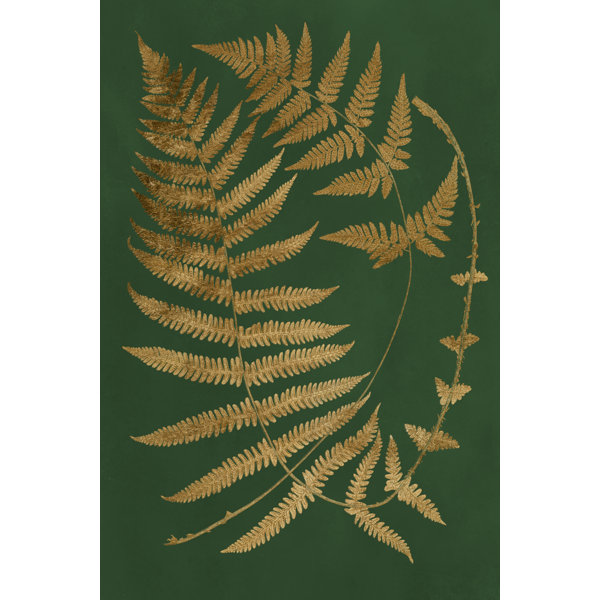 Bay Isle Home Gilded Ferns IV by Vision Studio - Wrapped Canvas Graphic ...