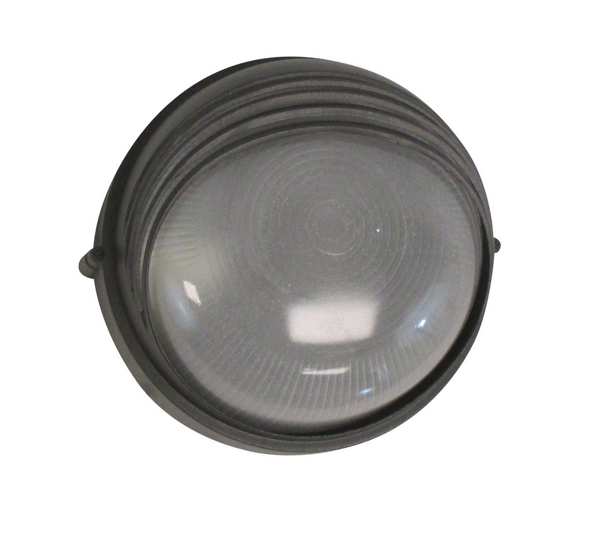 Williston Forge Platt Outdoor Bulkhead Light - Wayfair Canada