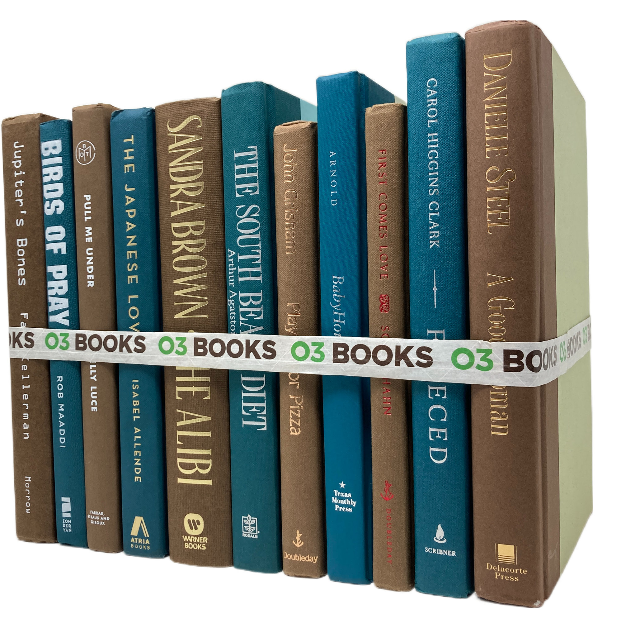 Red Barrel Studio® Frisse Teal Tempest Decorative Books Teal and Dark ...