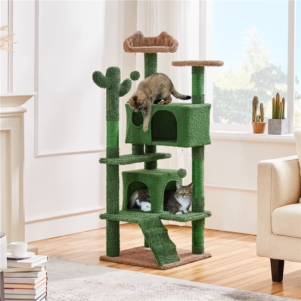 Archie & Oscar™ Cleobury 53'' Height Cat Cactus Tree Condo Kitten Tree ...