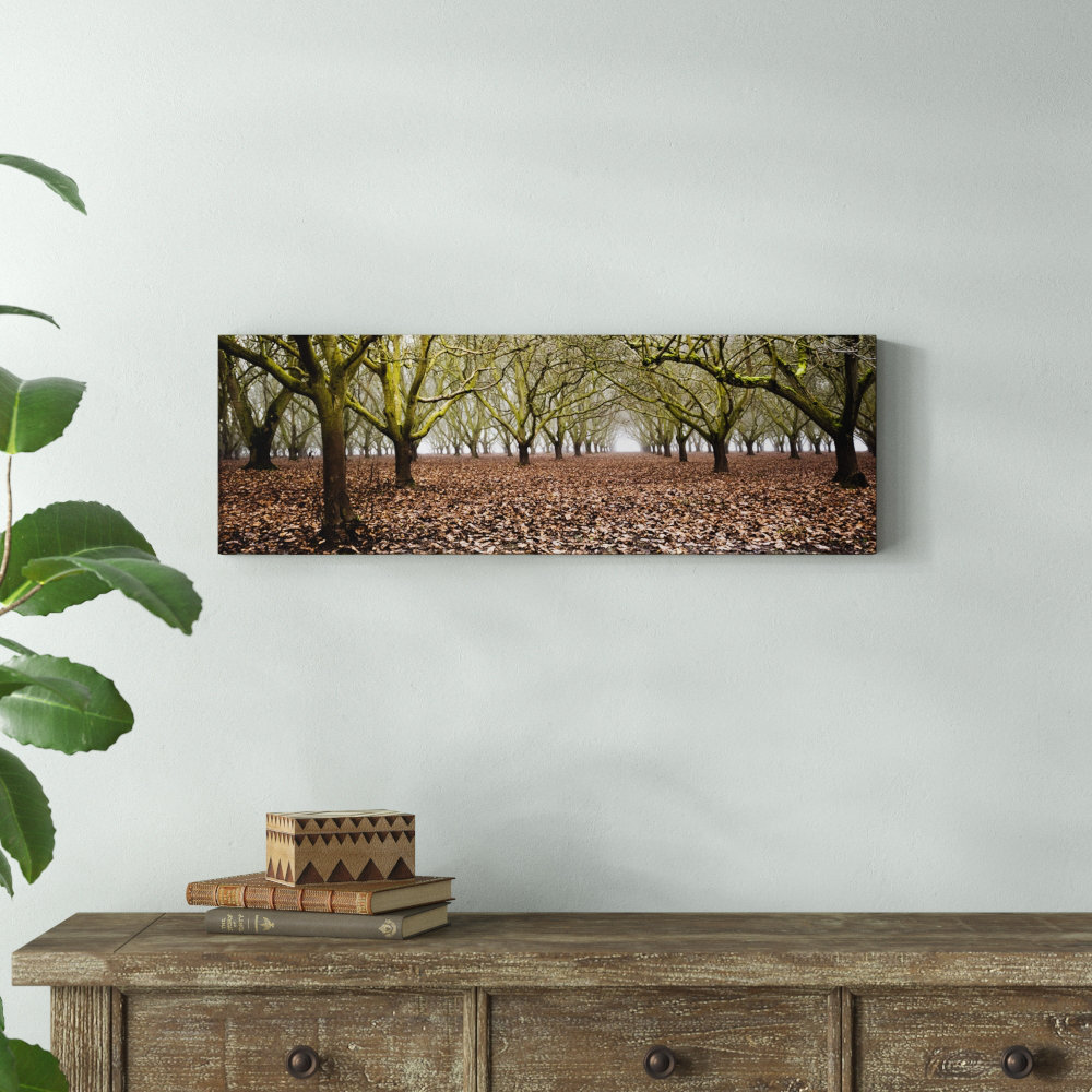 Millwood Pines 'Hazel Tree Grove Pano I' Photographic Print on Wrapped ...