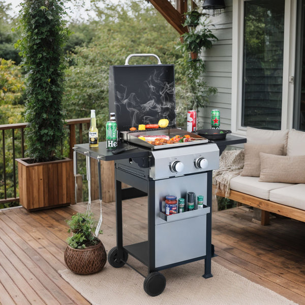 Buriza Can 2-Burner Propane Gas BBQ Grill With Wire Enamel Cooking ...