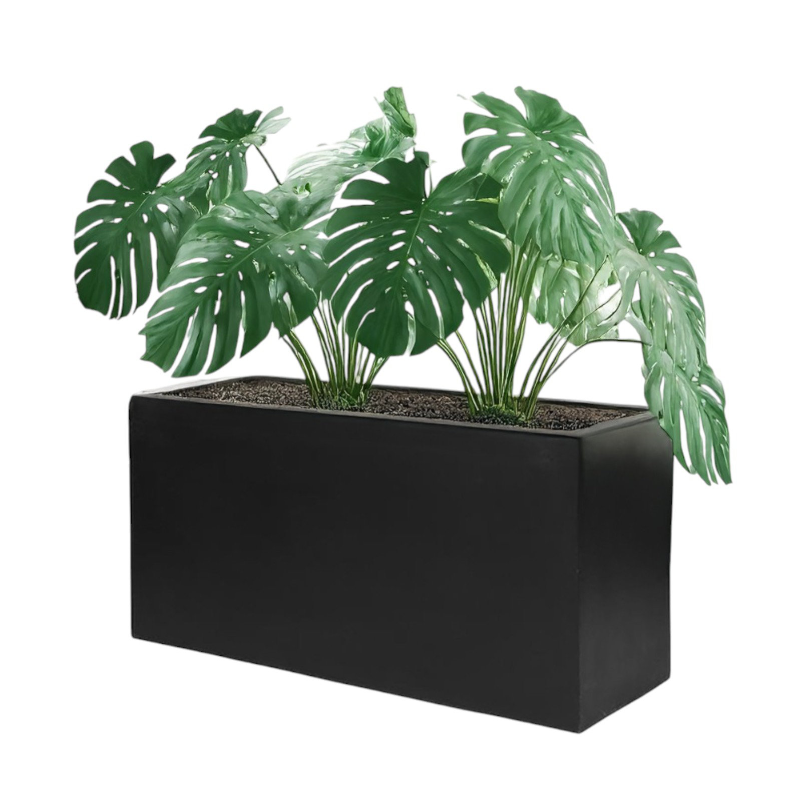 Wrought Studio Angellie Basic Fiberstone Planter Box & Reviews ...