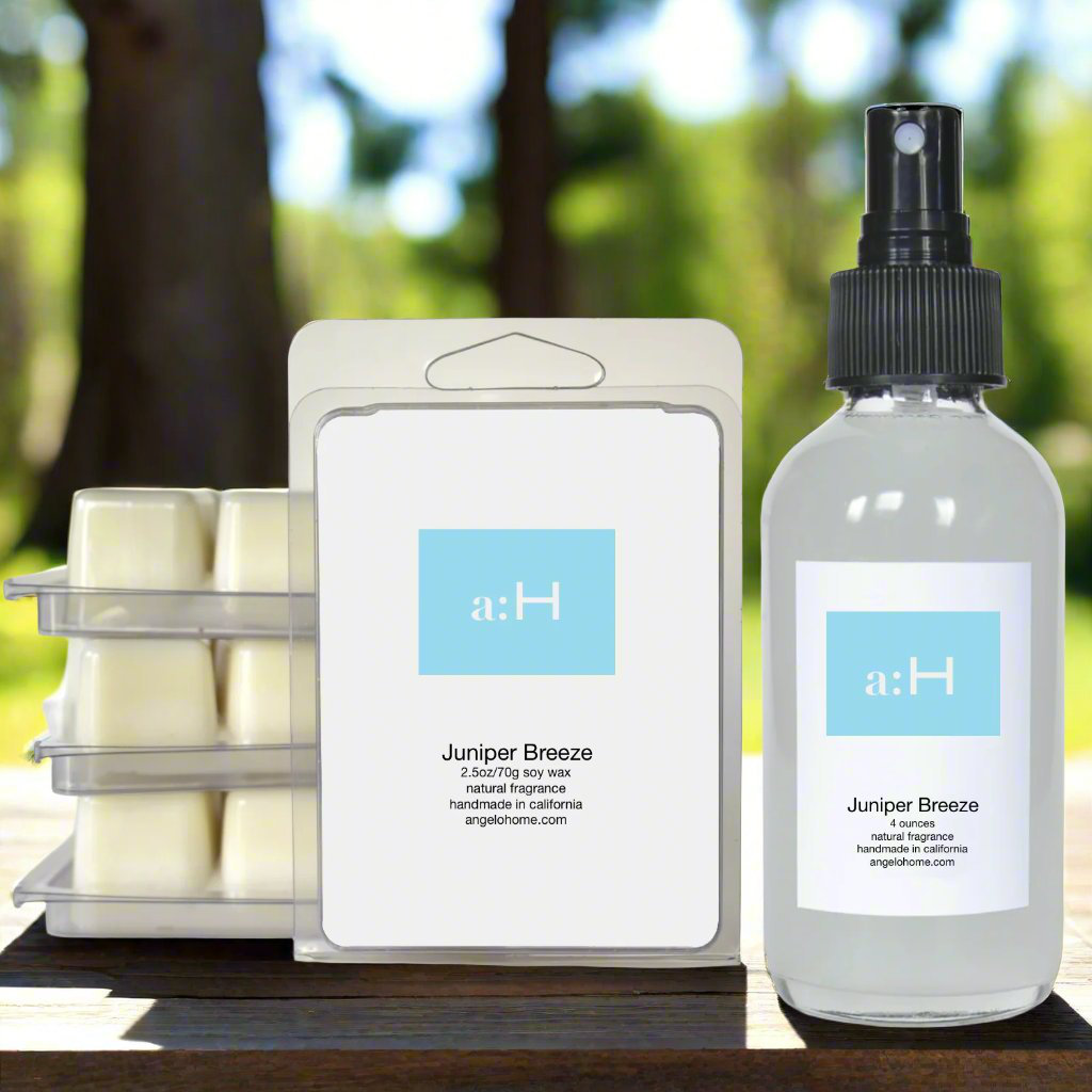 ANGELOHOME A:H Juniper Breeze Candle | Wayfair