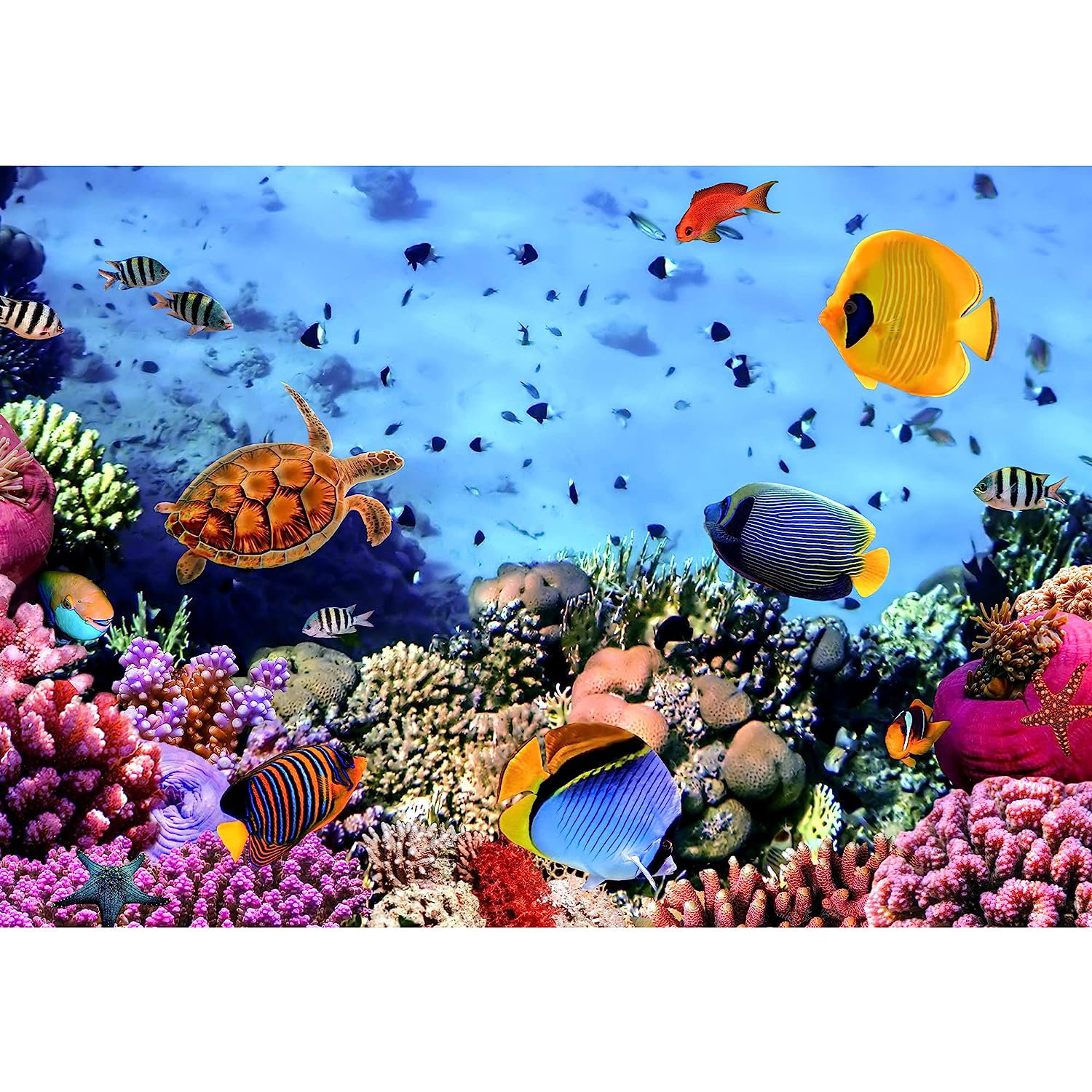 IDEA4WALL Underwater Coral Ocean Sea Turtle Fish Paintable Wall Mural ...